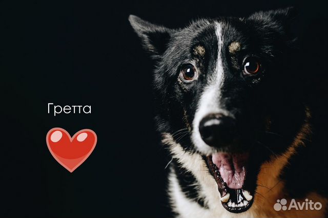 Нуждаюсь в семье