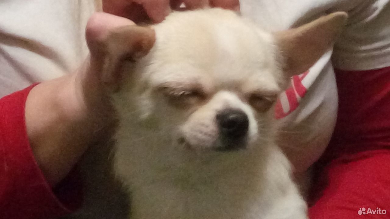 Мальчишечка для встреч