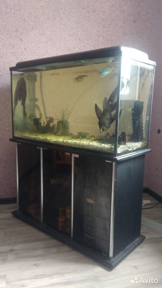 Продаю аквариум 250л