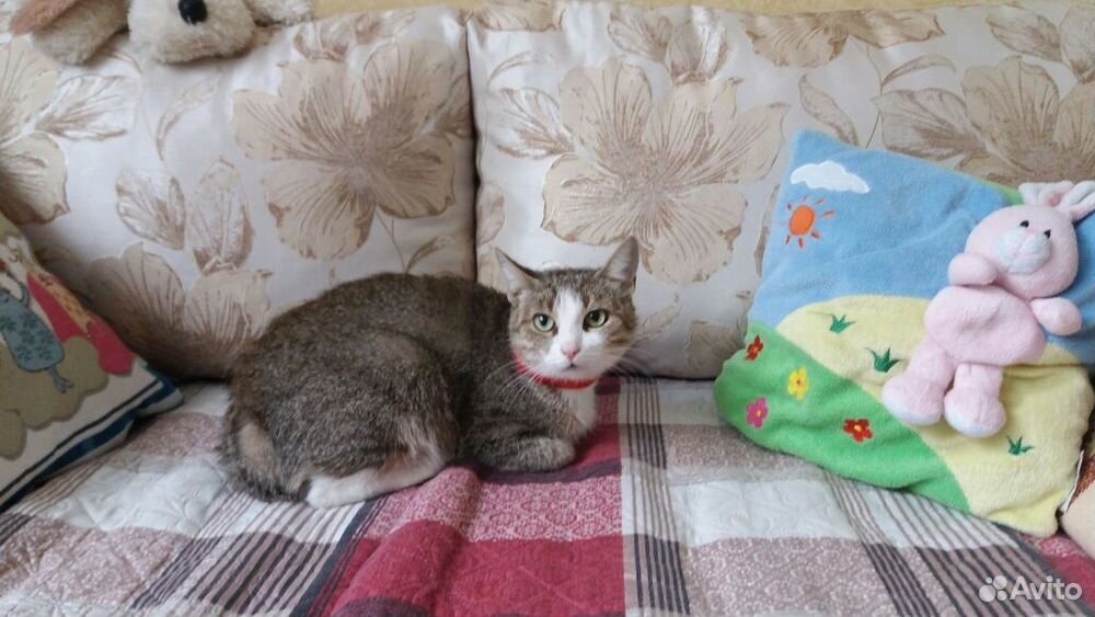 Нежная красавица - молодая Милаша в дар