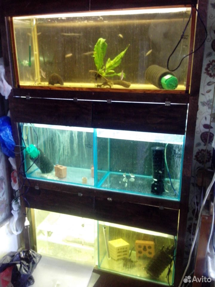 Продам аквариумы от 100 до 300 л