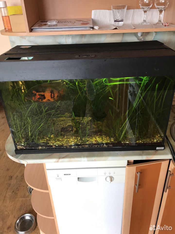 Аквариум 140 л