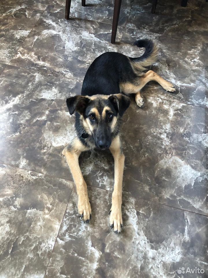 Прелестная девочка