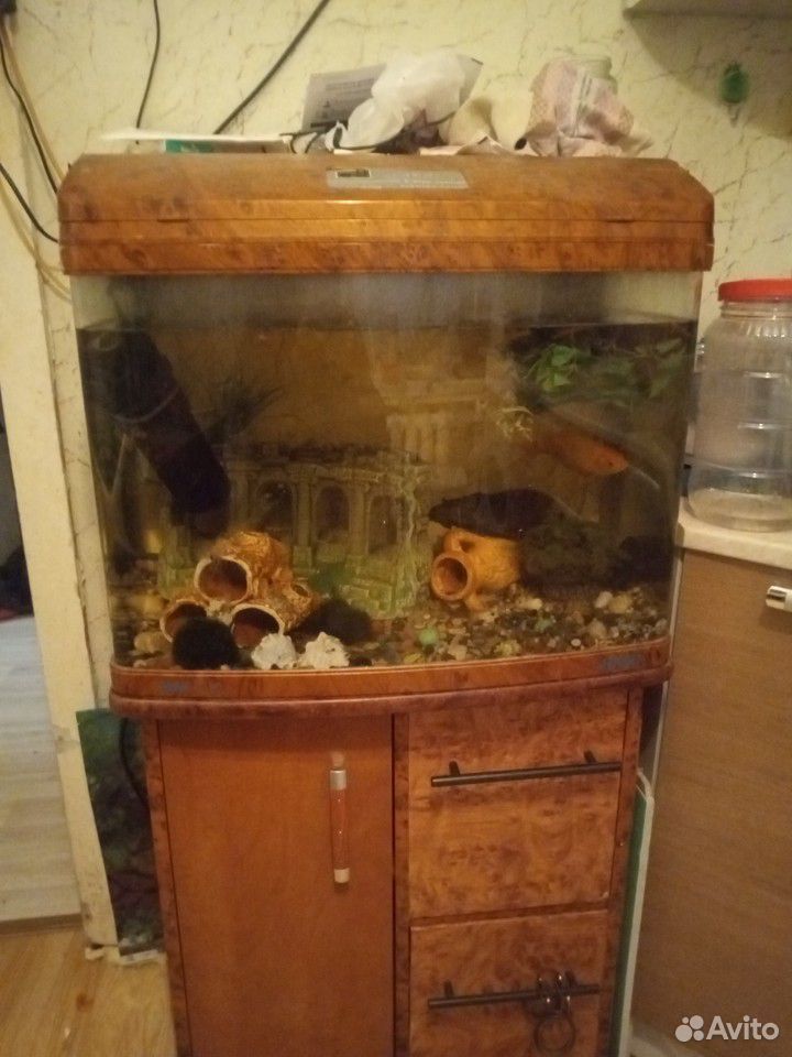 Аквариум со всем инвентарем и рыбками