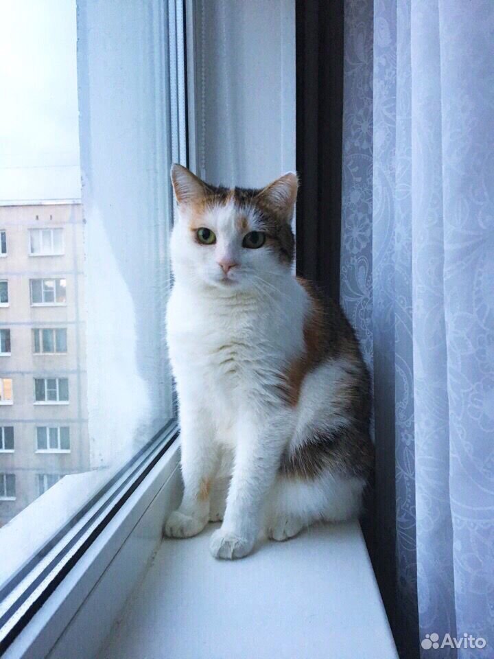 Яся 2.5 -3 года