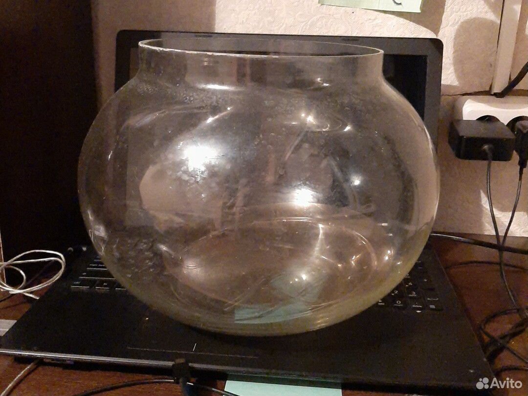 Аквариум для золотой рыбки