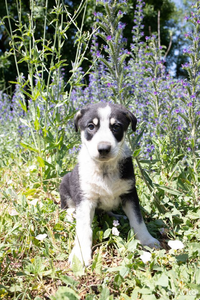 Девочка 1,5 месяца