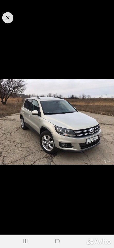 Обмен на быков