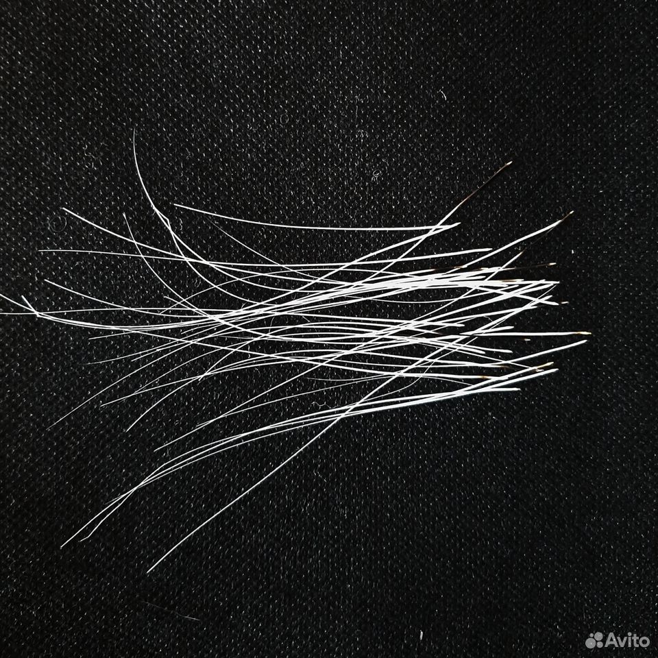 Кошачьи усы (вибрисы)