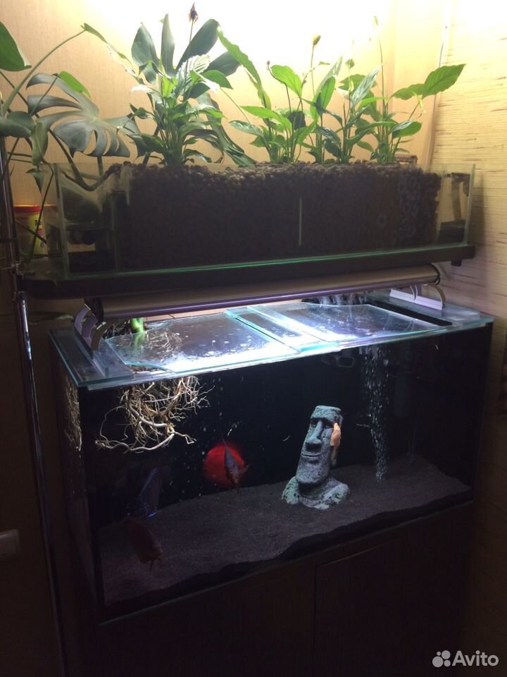 Аквариум 200л со всем оборудованием