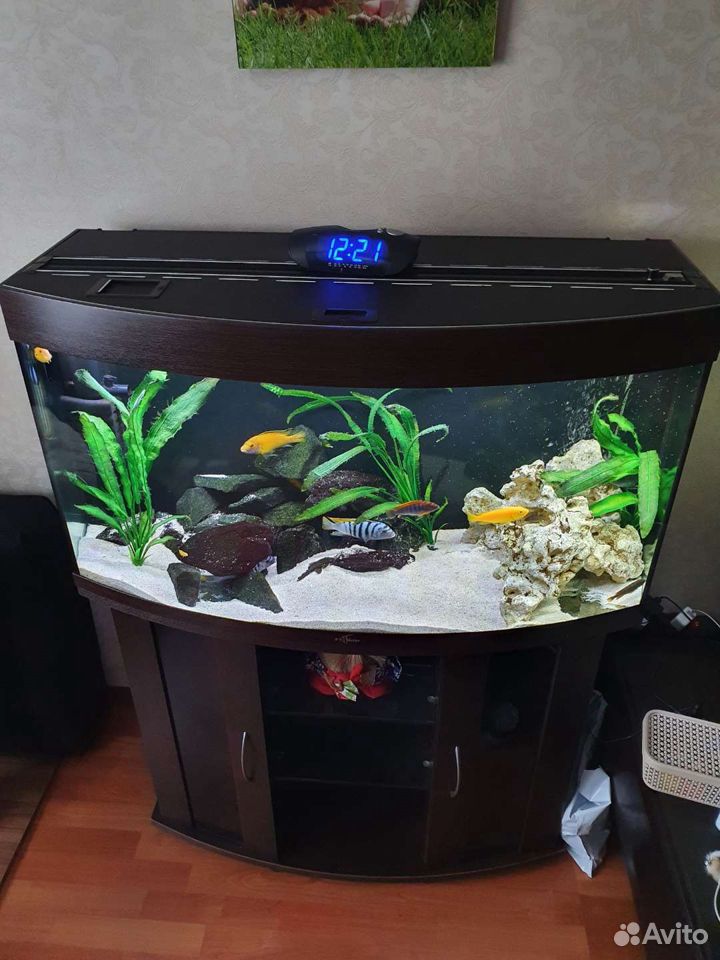 Аквариум