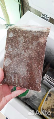 Замороженный рачек артемии