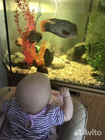 Аквариум с тумбой