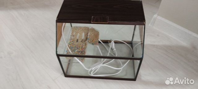 Черепашник