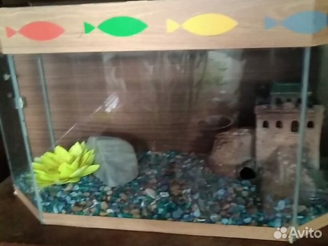 Аквариум
