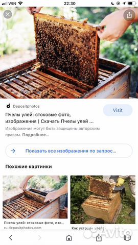 Пчелы и улья