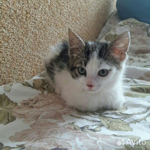 Мальчишка Буржуй, классный парень