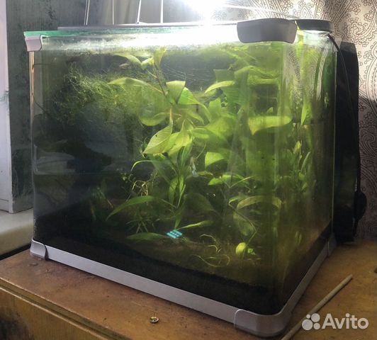 Аквариум
