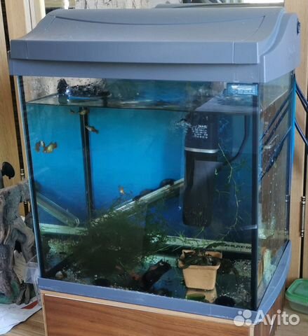 Аквариум Tetra AquaArt Goldfish LED 30 л (серый)