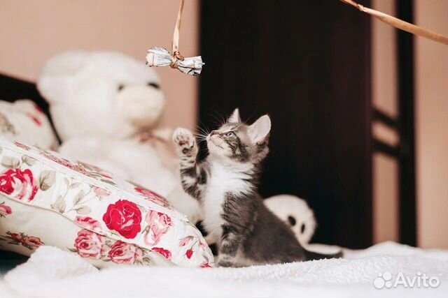 Оливер ждет маму