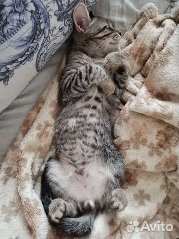 Не хочу обратно на улицу