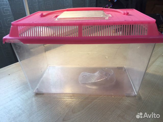 Террариум для улиток