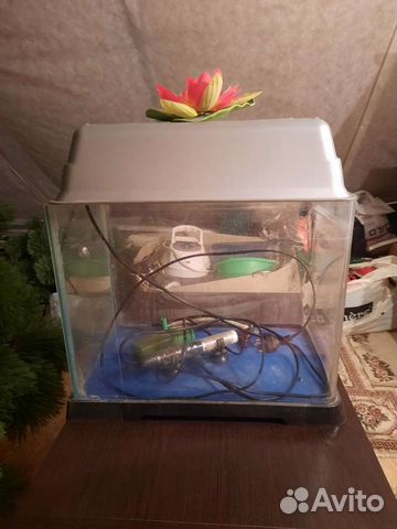 Аквариум