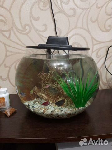Аквариум