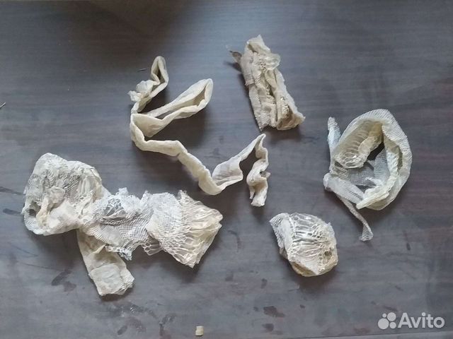 Выползки удав императорский боа boa constricror