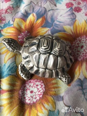 Черепашка декоративная