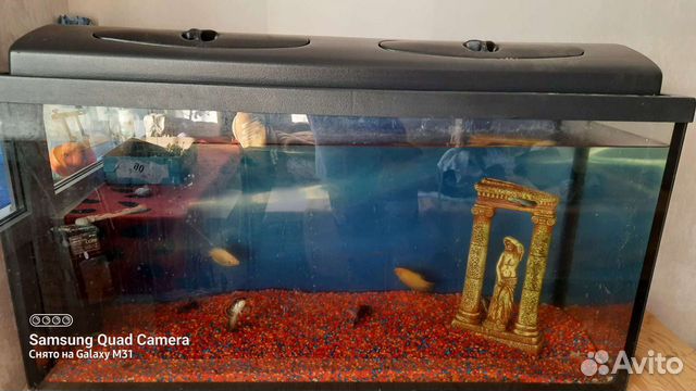 Аквариум 200 литров с крышкой