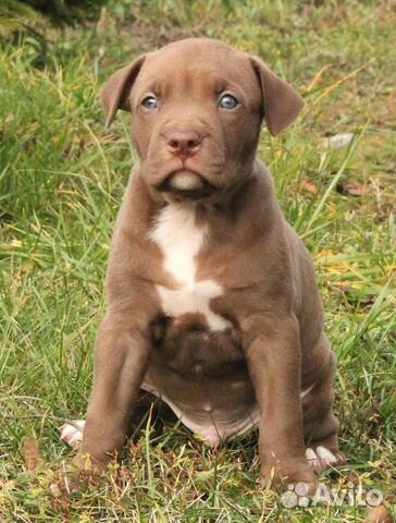 Брутальный парнишка