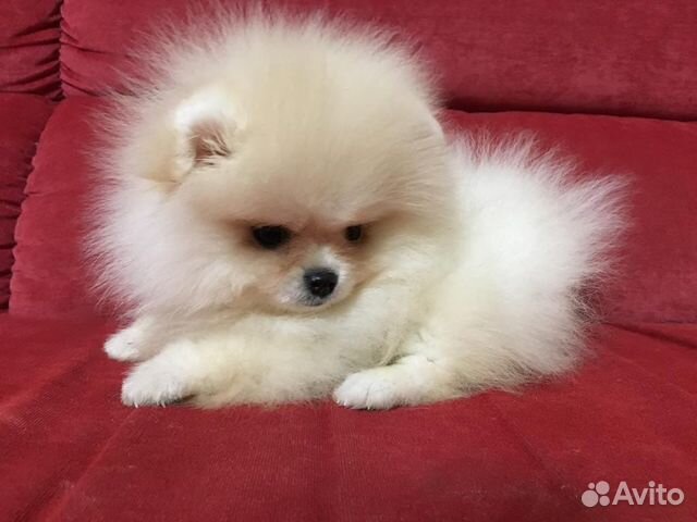 Мальчик с пальчик