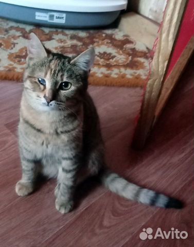 Чудеса в Рождество случаются