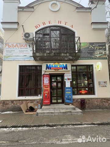 Собака замерзает SOS