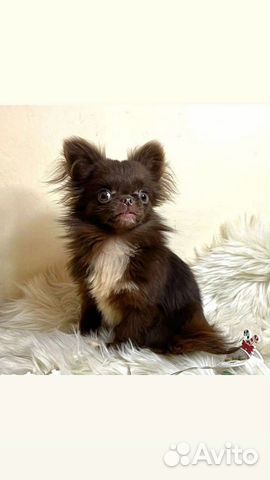 Супермини шоколадный мальчик