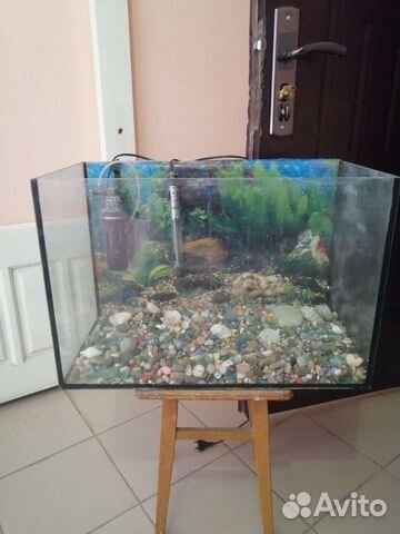 Аквариум