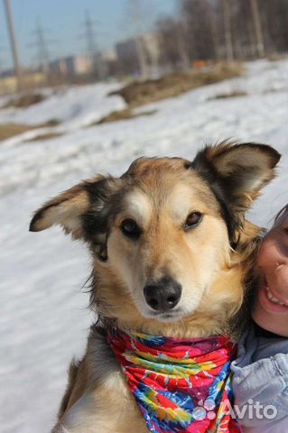 Эрику нужен дом