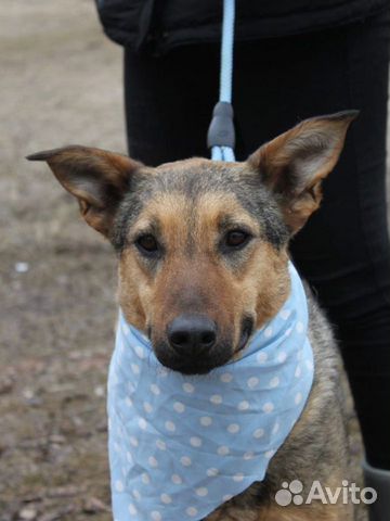 Комета, которую искали целых 5 дней и ночей