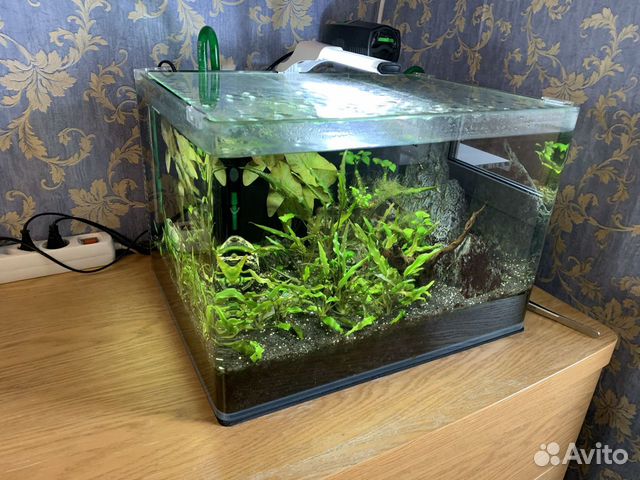 Аквариум Dennerle Scaper’s Tank 55 л