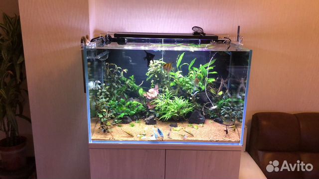 Аквариум с тумбой и оборудованием 200 литров