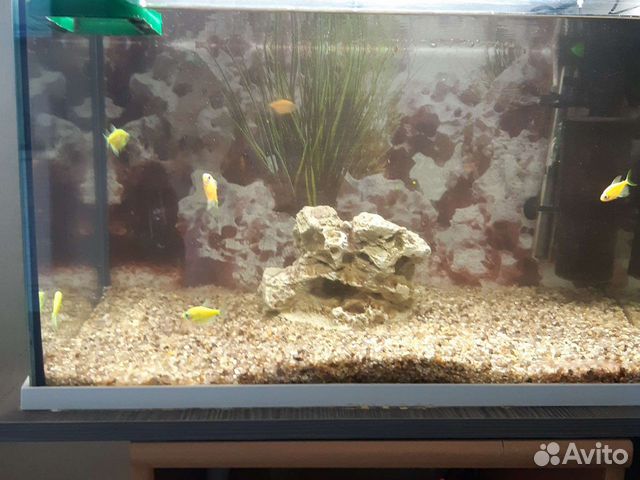 Украшение для аквариума