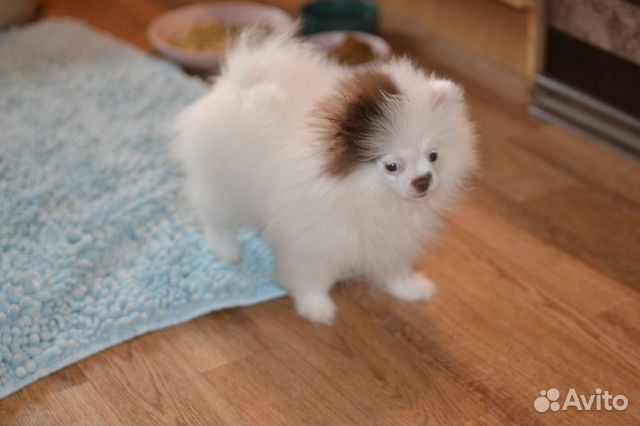 Прекрасный малыш