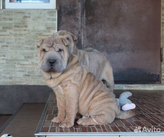 Китайское чудо