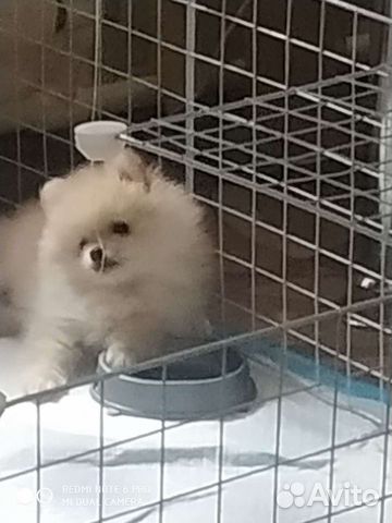 Озорной малыш