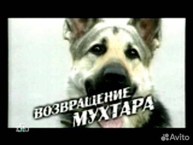 Щенки от героя любимого сериала