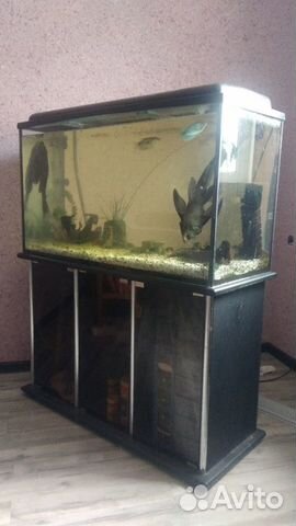 Продаю аквариум 250л
