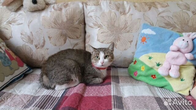 Нежная красавица - молодая Милаша в дар