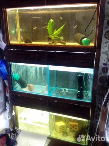 Продам аквариумы от 100 до 300 л