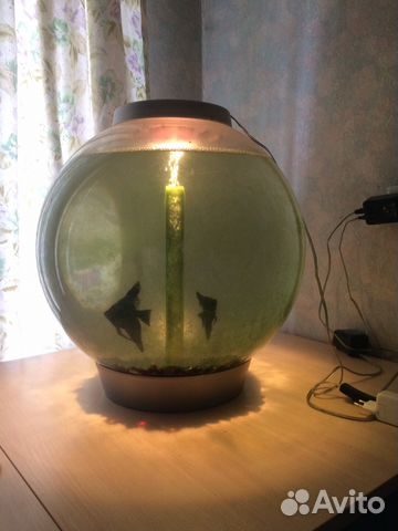 Аквариум biorb 60 литров